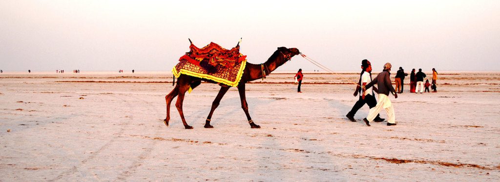 KUTCH TOUR GUIDE TO WHITE RANN | Blog
