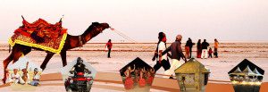 Experience your trip to Kutch with Kutch tour guide | Blog