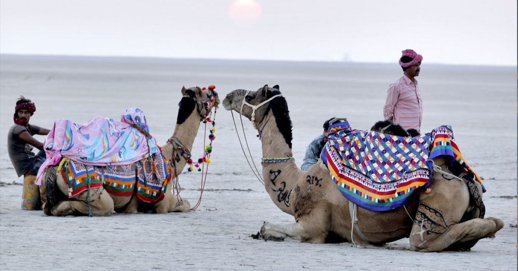 Festival season starts at the dazzling White Rann of Kutch
